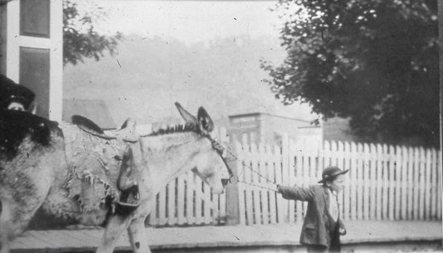 Greene to present lecture on Harlan’s 200 years | Harlan Enterprise